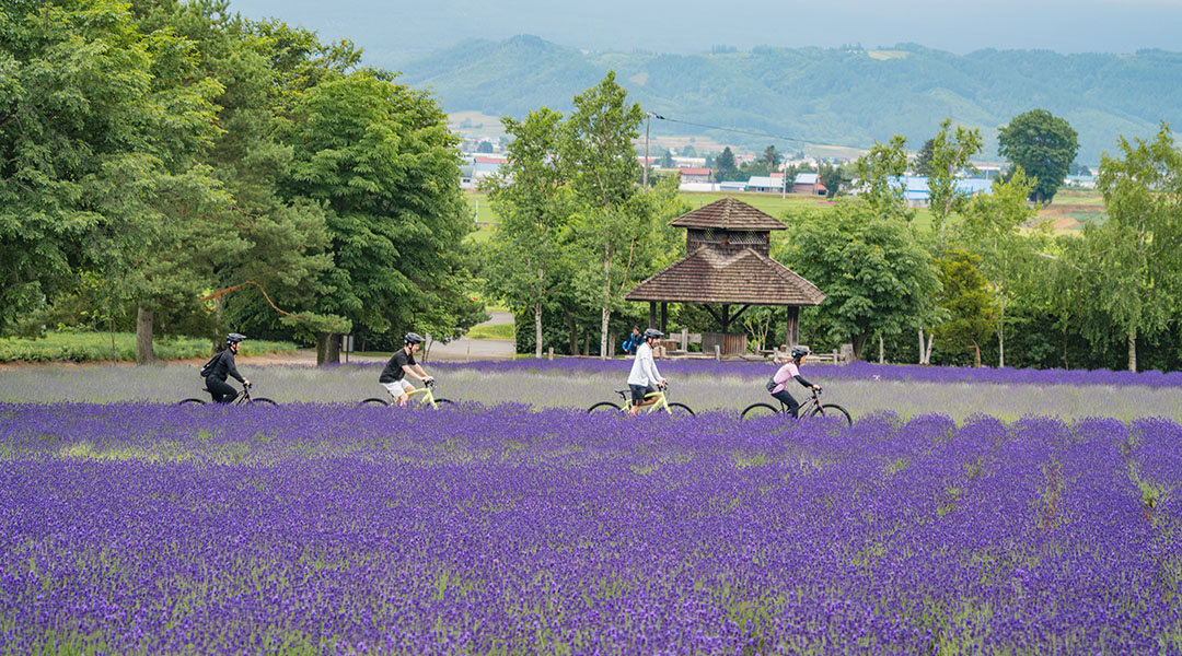 Summer in Furano | Scenic Rides & Bike Hire | Rhythm Japan
